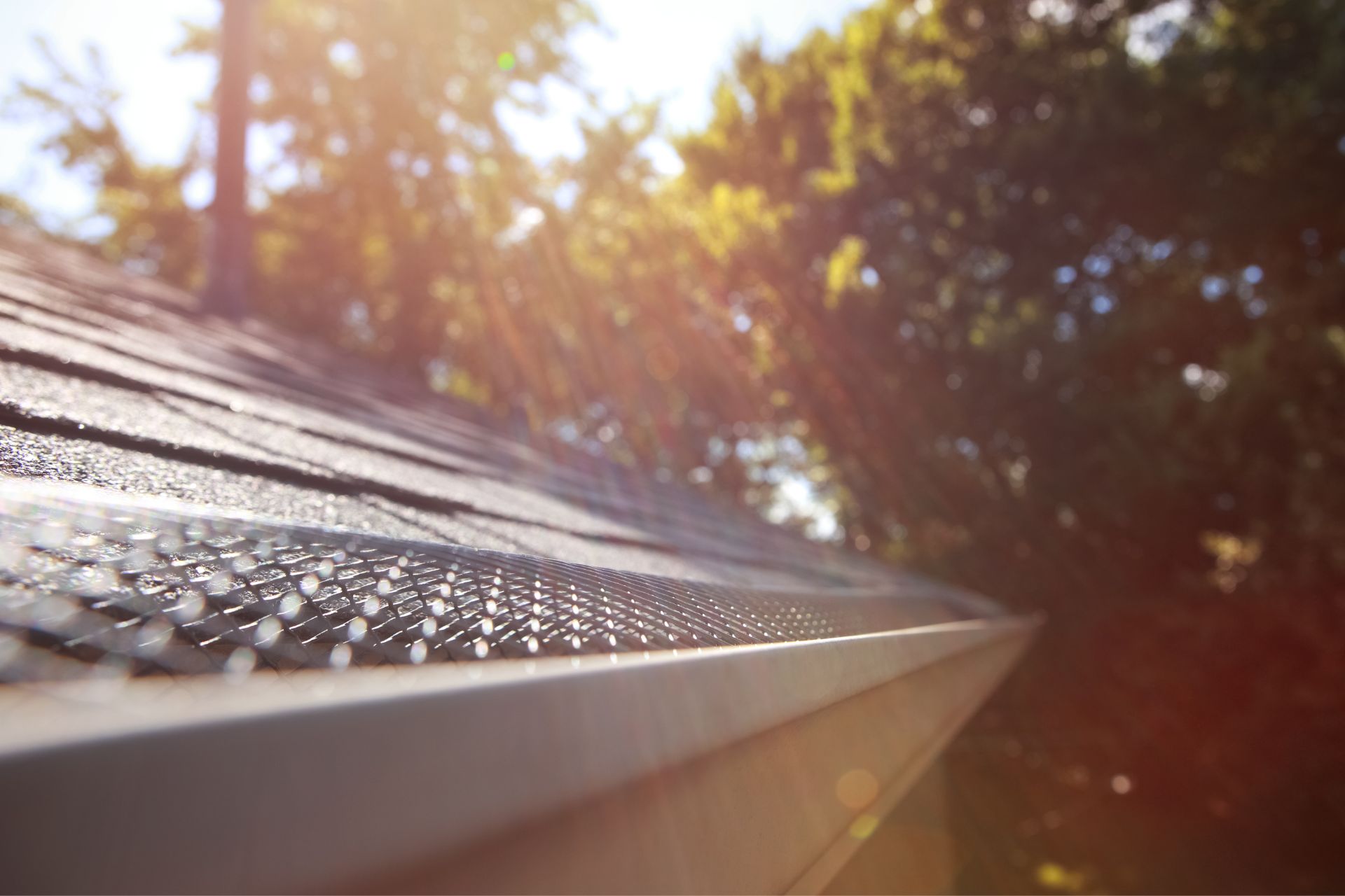 A Guide to Choosing the Best Gutter Guards for Australian Homes