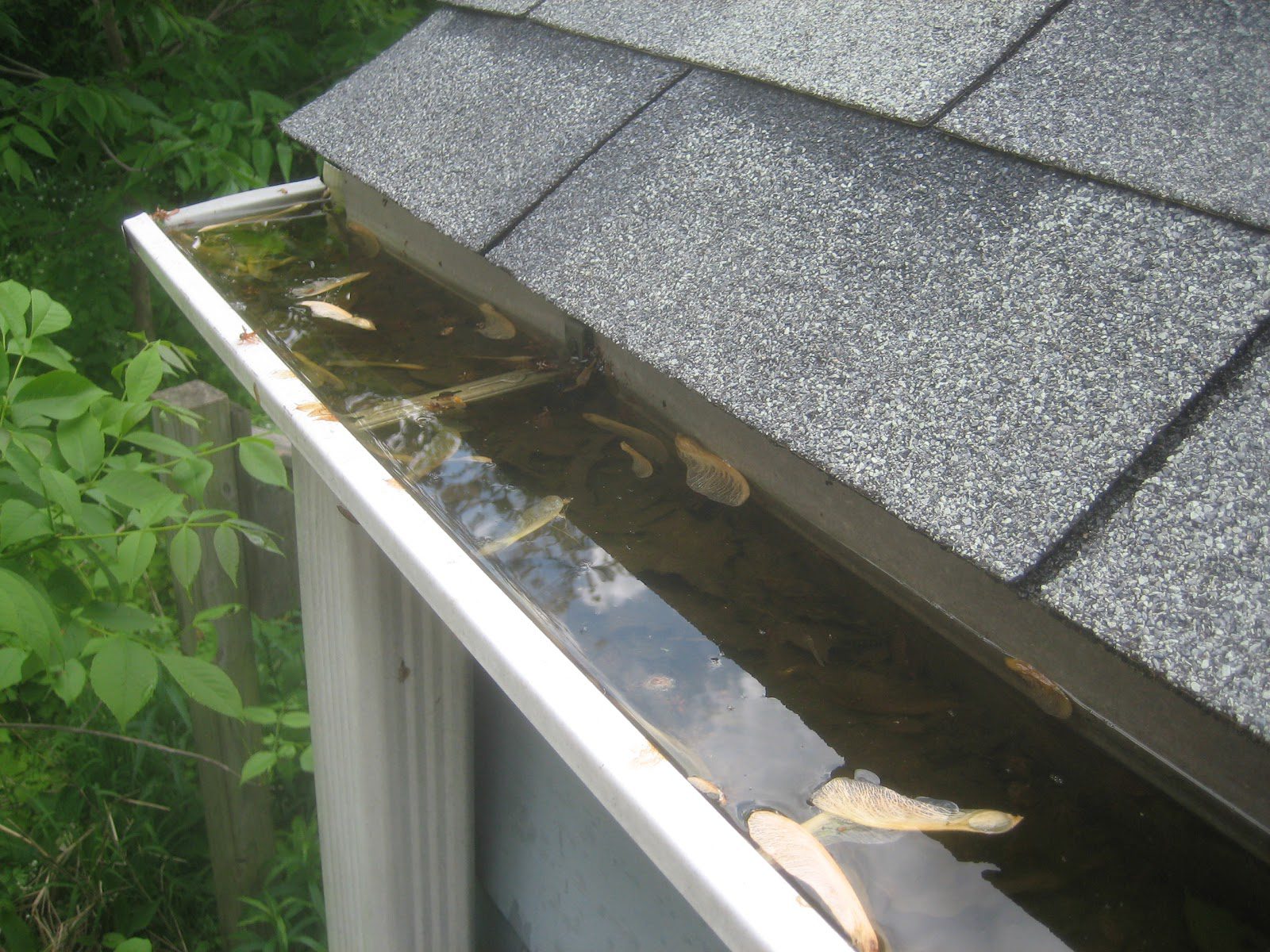 What is The Cost Of Installing Leaf Gutter Guards for Rain Gutters?
