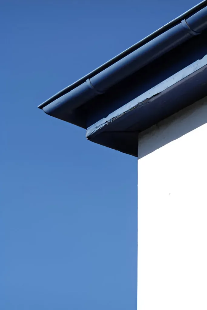 Gutter Guard Installation Bronte | Top Gutter Protection in Sydney