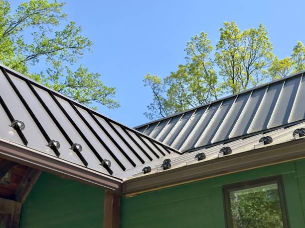 Best Gutter Guard for Colorbond Roof | Factors to Consider