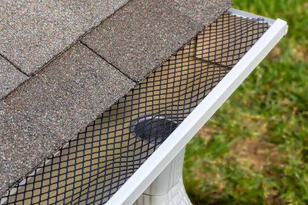 Should You Get Leaf Guards for Rain Gutters?
